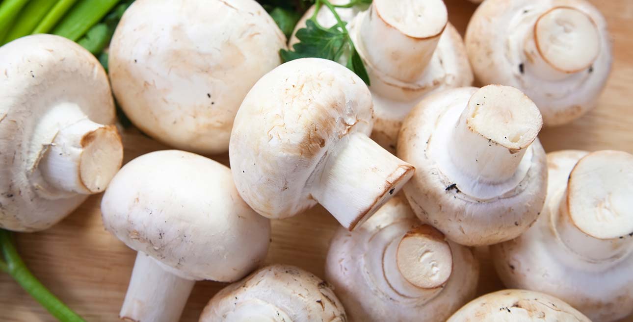 El Champiñón: cultivo, características y conservación | Bernad