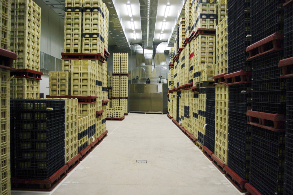 Secaderos industriales - Jose Bernad